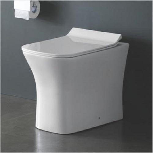 Western Toilet - A wide range of floor mounted EWC.