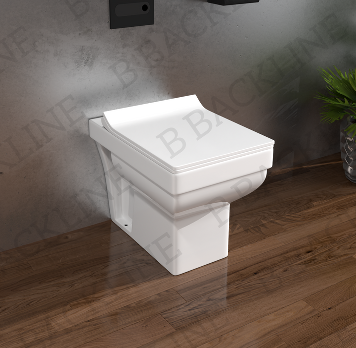 Western Toilet - A wide range of floor mounted EWC.