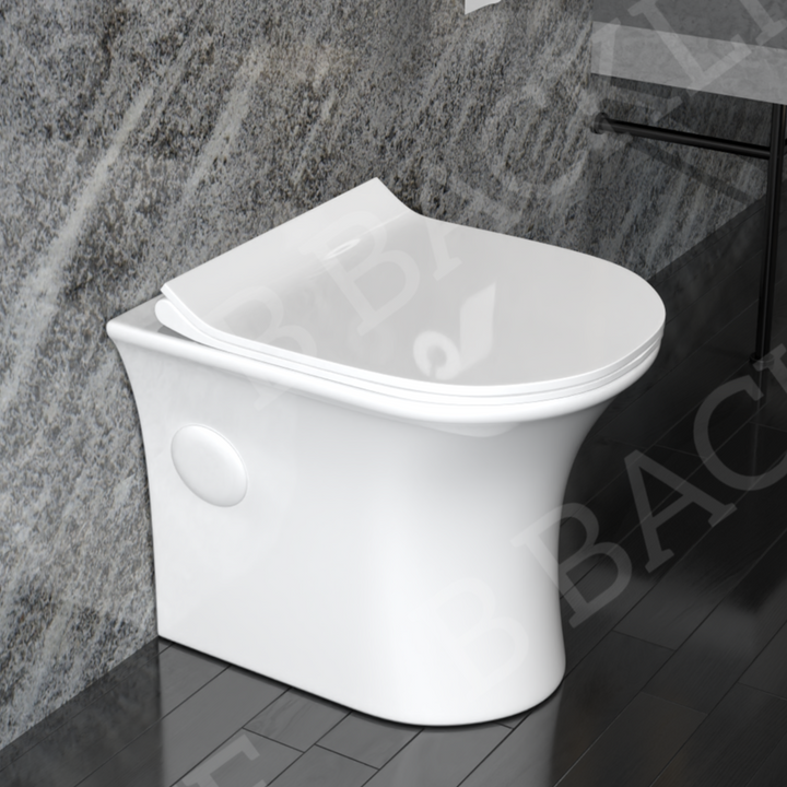 Western Toilet - A wide range of floor mounted EWC.