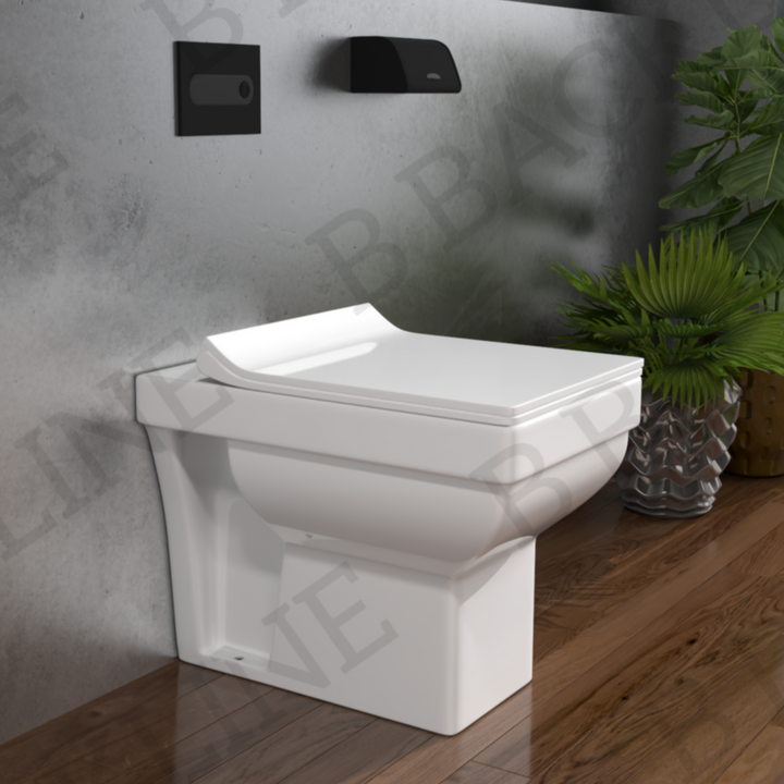 Western Toilet - A wide range of floor mounted EWC.