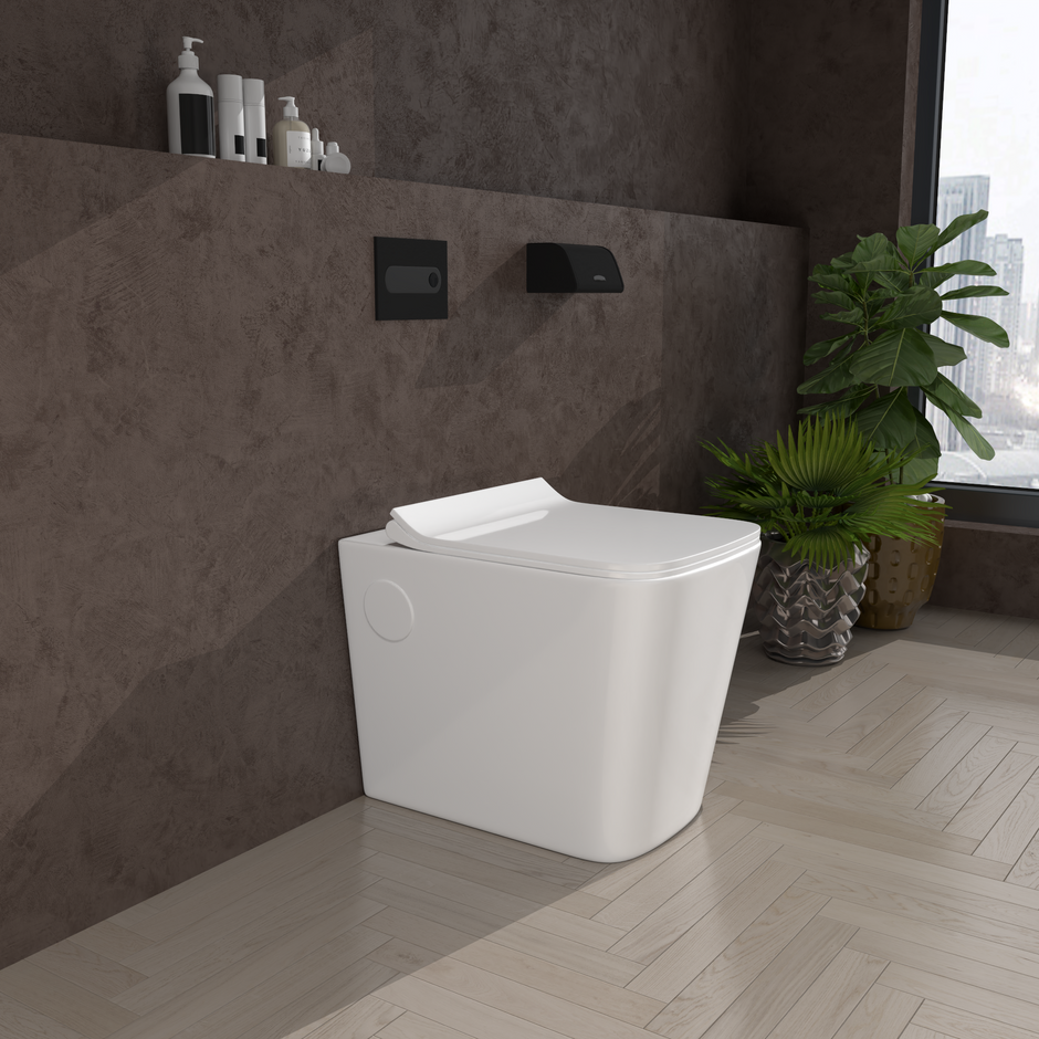 Western Toilet - A wide range of floor mounted EWC.